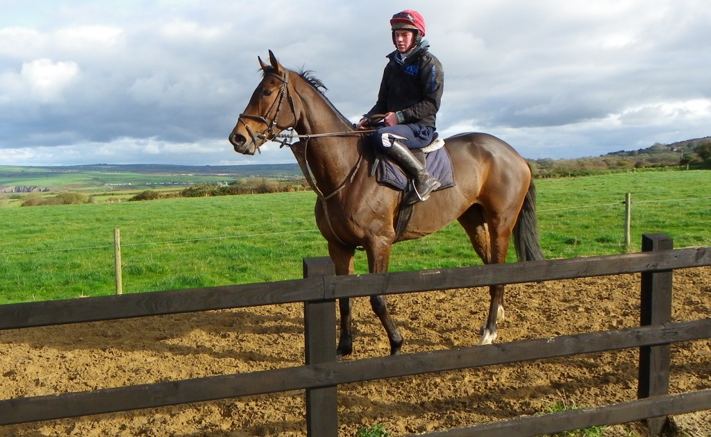 Rebecca Curtis and the Importance of Development! | The Racing Horse