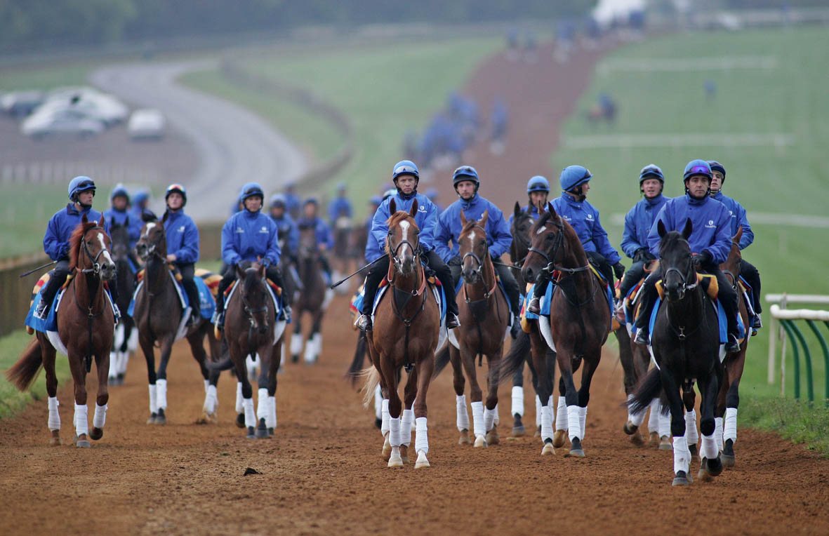 Godolphin System | The Racing Horse