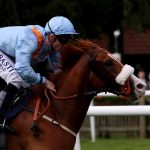 Swift Approval | The Racing Horse