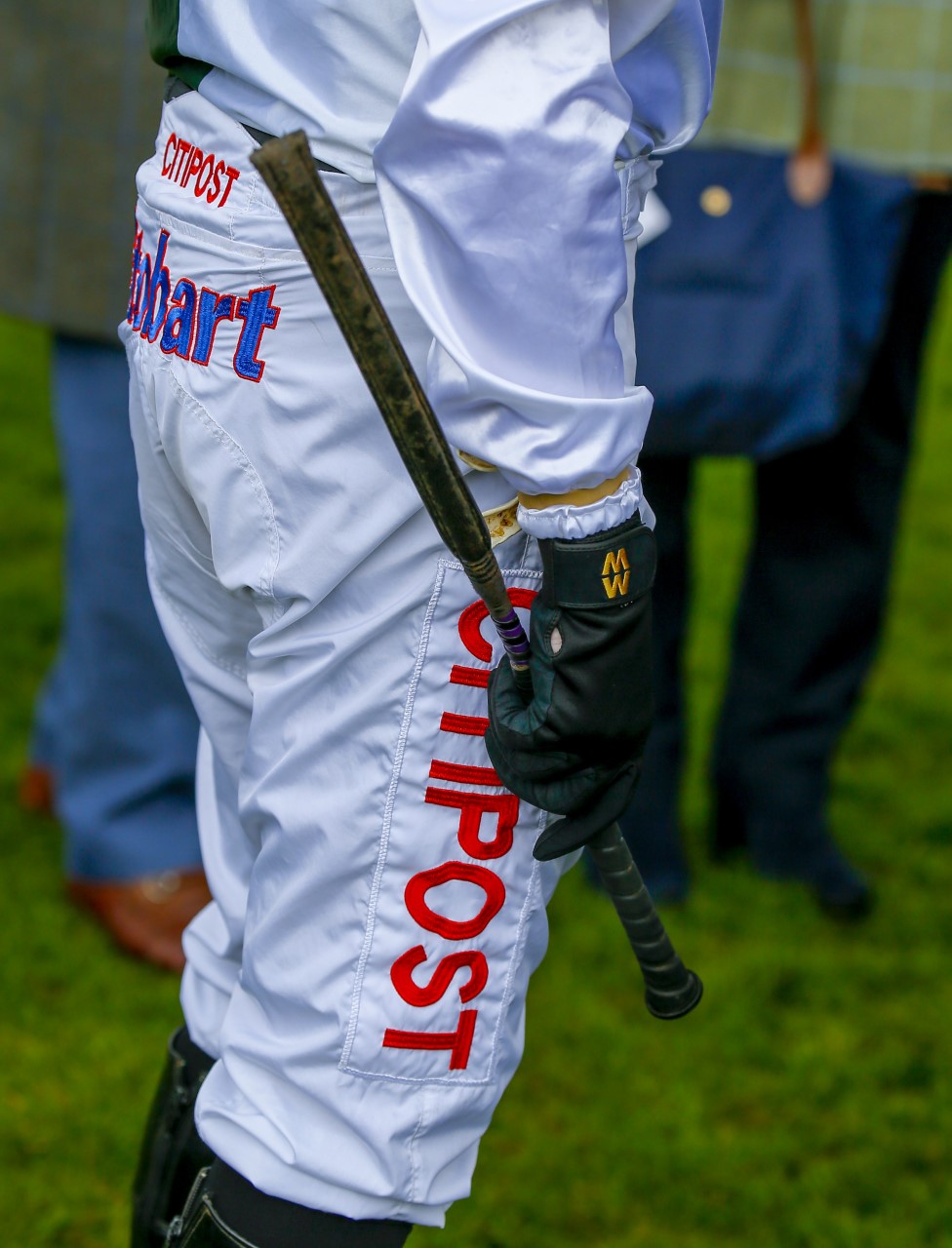 Use Of The Whip by Lynton Gomm | The Racing Horse